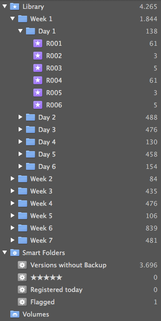 Synergy KK - 01-02 Silverstack - クリップライブラリ - プロジェクトの構成要素、フォルダ、ビンについて