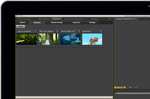 Synergy KK - CANTEMO (カンテモ)